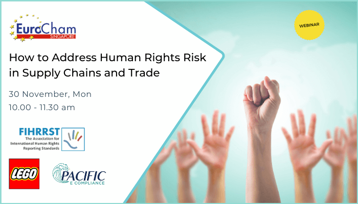 EuroCham webinar: How to Address Human Rights Risk in Supply Chains and ...