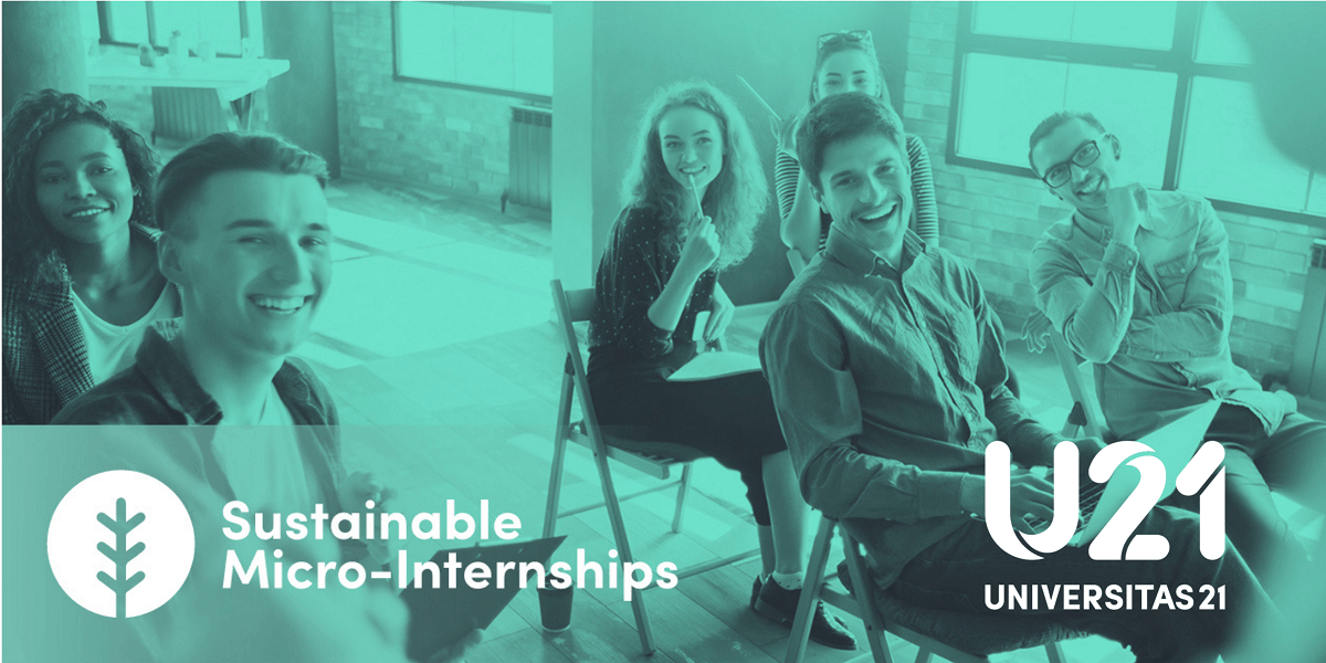 U21 Sustainable Micro-Internships Information Session - NUS Centre for ...