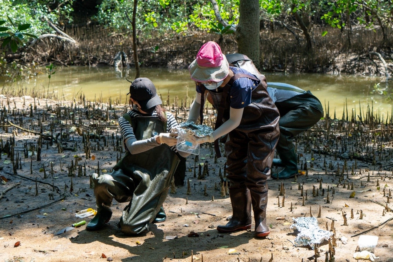 NUS Environmental Research Institute