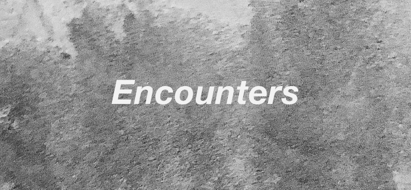 Legacies of Encounters Art