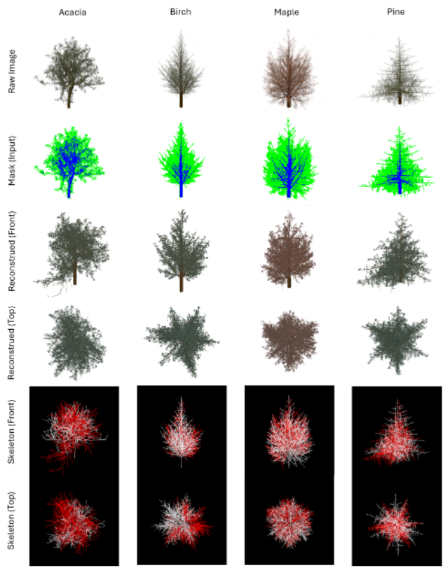 Single-image tree structure reconstruction using transformers and L-system